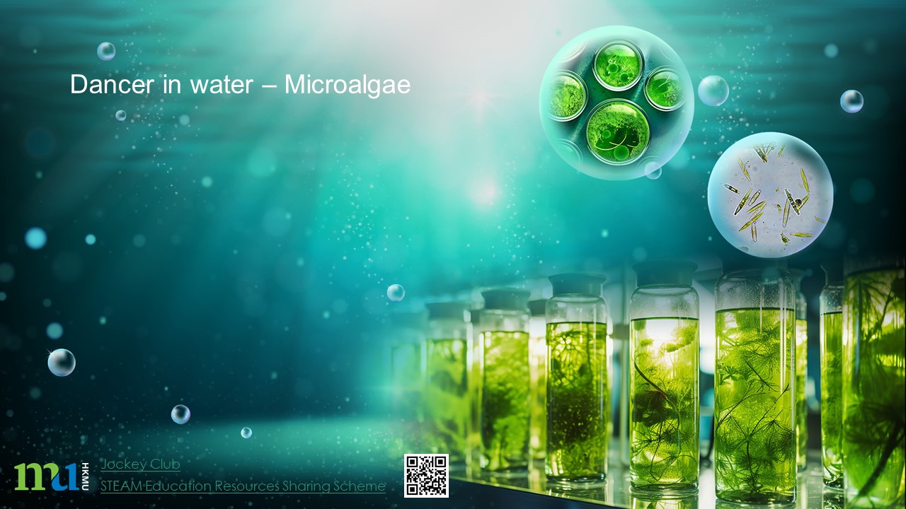 Dancer in Water – Microalgae – HKMU STEAM